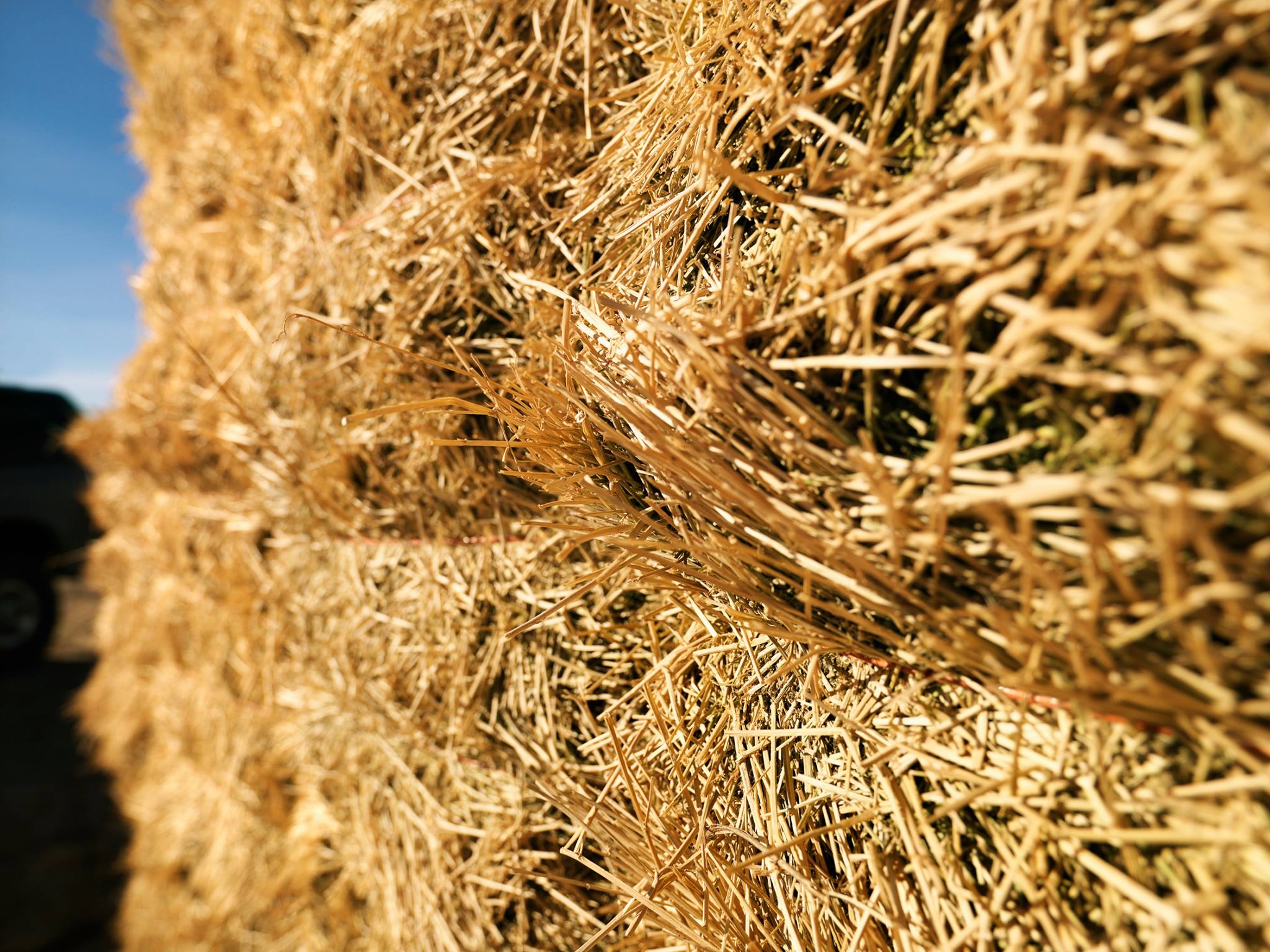 You're Just A Needle In A Haystack - Key Person of Influence